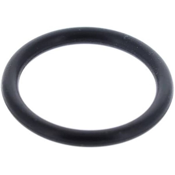 HONDA GX120 FUEL STRAINER CUP GASKET 16173-001-004 | Shop - Esch ...